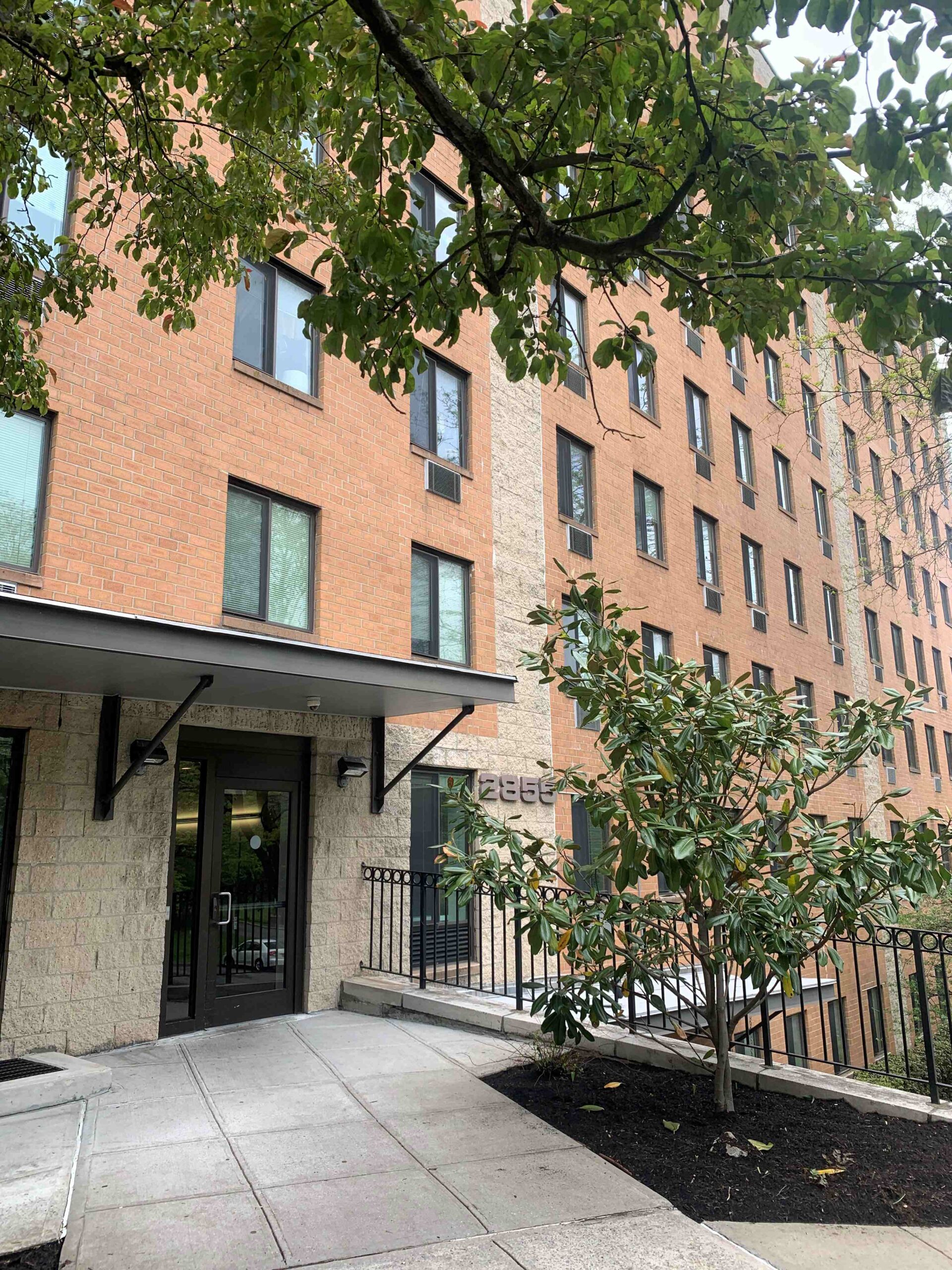 Sunny Side Up: UNHP Brings Solar to the Bronx - University Neighborhood ...